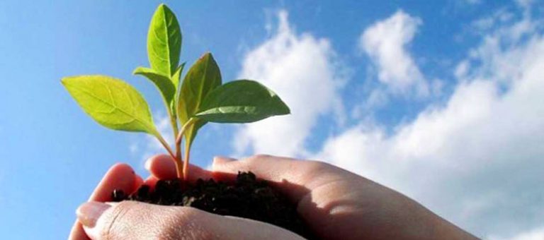 Bioceres y Rizobacter impulsan tecnológicas para expandir la ...